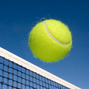 Philips Trains At Wimbledon With Stephen Alger - Bernews