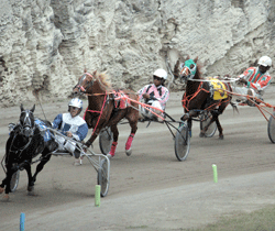 Weekend Harness Pony Racing Results - Bernews