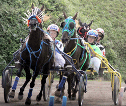 Harness Pony Racing Weekend Results - Bernews