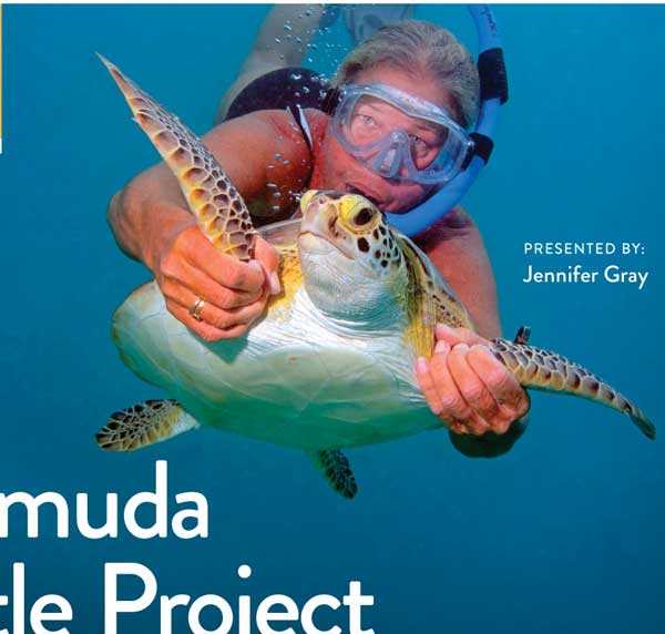 Upcoming Lecture On Bermuda Turtle Project - Bernews