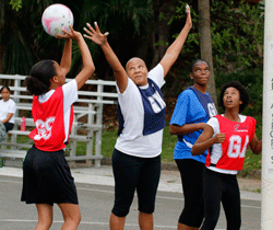 Netball: BNA Summer League Season Results - Bernews