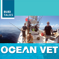 Video: 'Ocean Vet' Trailer Highlights Series - Bernews