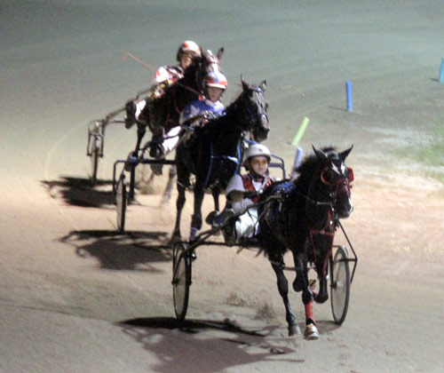 2015 Harness Pony Racing Season Continues - Bernews
