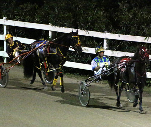 2015 Harness Pony Racing Season Continues - Bernews