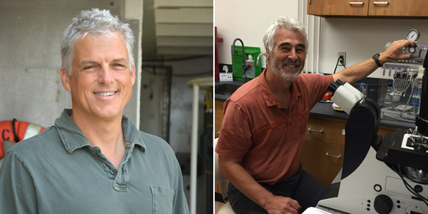 $6M Grant Catalyzes Study Of Ocean Microbes - Bernews