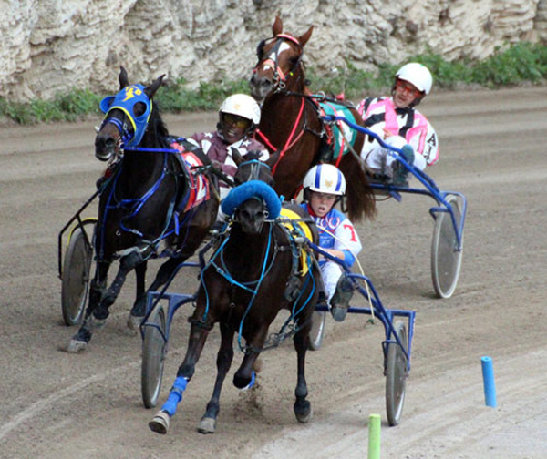 Harness Pony Racing Season Action Continues - Bernews