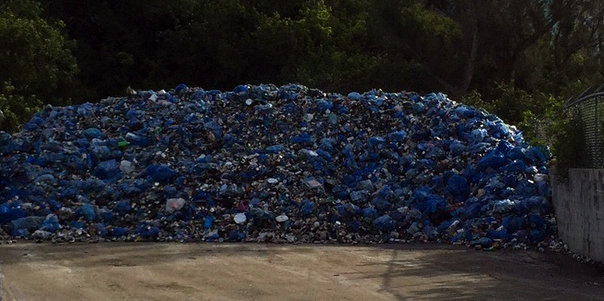 Bags At Devon Springs As A "Contingency" - Bernews