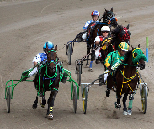 Harness Racing & Best Of Three Stakes Results - Bernews