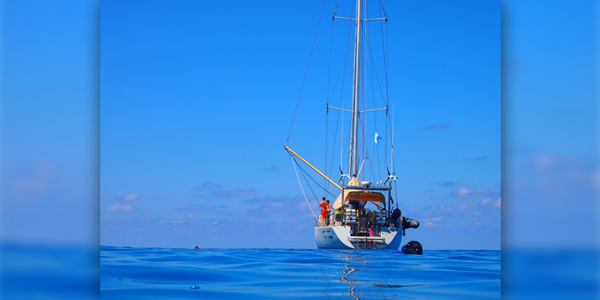'Adventure Sailing' Offered To & From Bermuda - Bernews