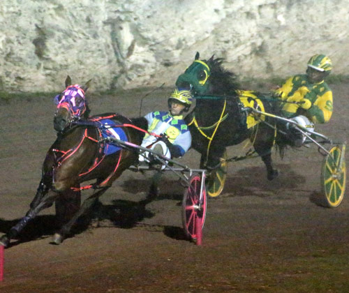 Latest Results From Harness Pony Racing - Bernews