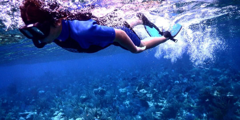 "Kids On The Reef" Educational Programme - Bernews