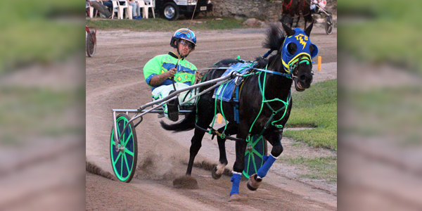 Bermuda Harness Pony Racing Season Kicks Off - Bernews