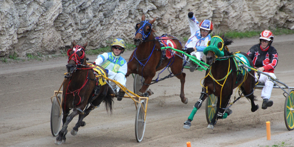 Photos, Results: Harness Pony Champion Racing - Bernews