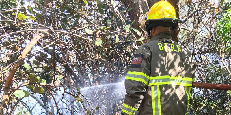 BFRS Extinguishes Darrell's Island Brush Fire - Bernews