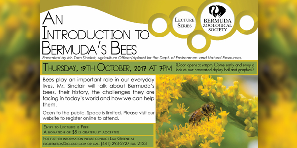 BZS Lecture: “Introduction To Bermuda’s Bees” - Bernews