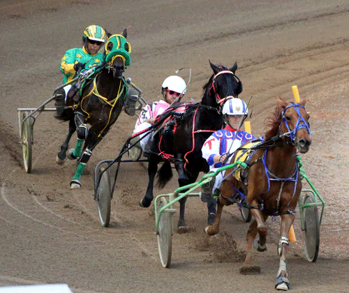 Harness Pony Racing Weekend Results - Bernews