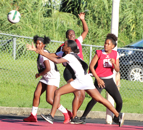 Bermuda Netball Summer League Results - Bernews