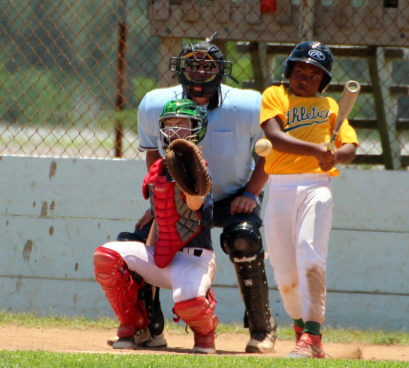 YAO Baseball League: Orioles Defeat Yankees - Bernews