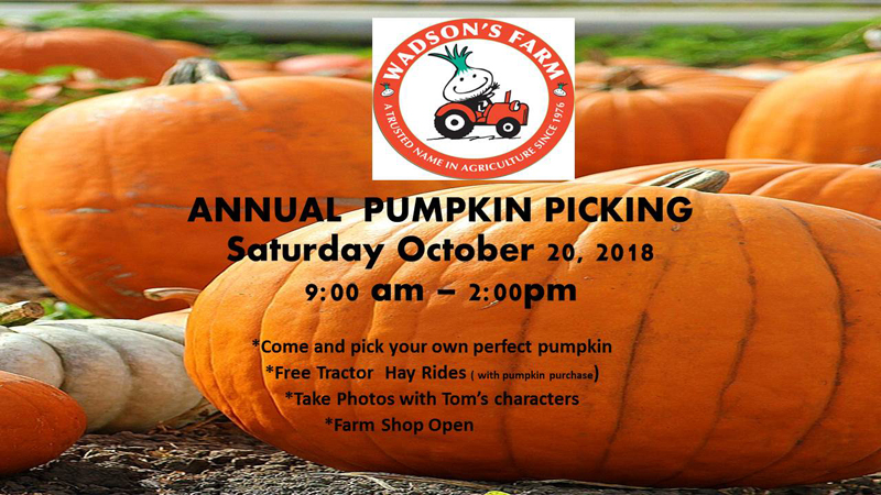 J&J & Wadson’s Farm To Host Pumpkin Picking - Bernews