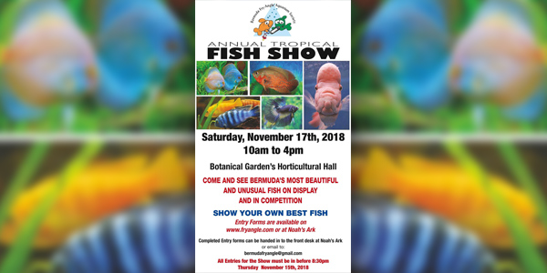 Annual Tropical Fish Show Set For Tomorrow - Bernews