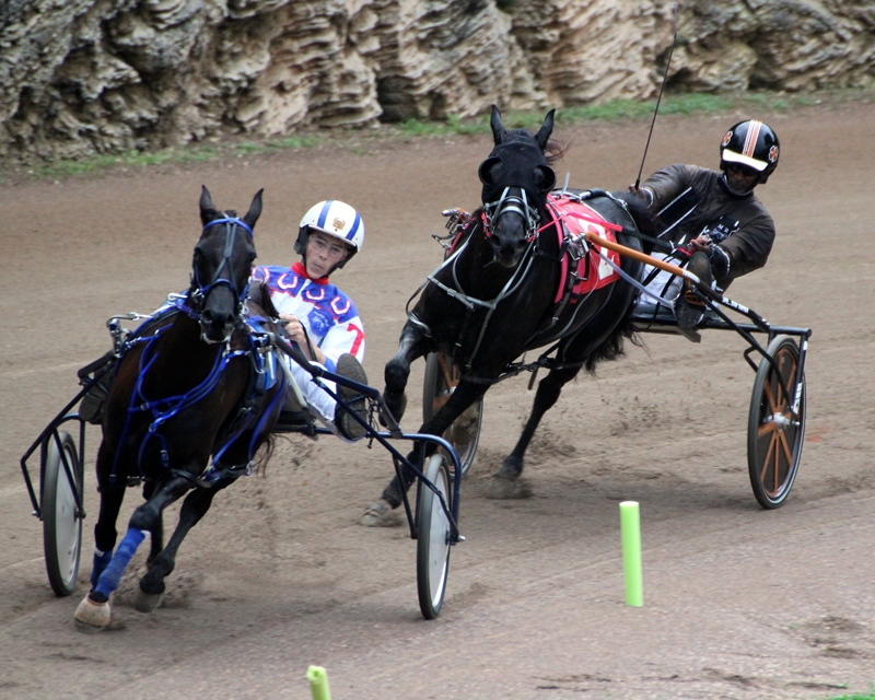 Bermuda Harness Pony Racing Results - Bernews