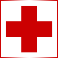 Red Cross: Over $86,000 Raised For Ukraine - Bernews