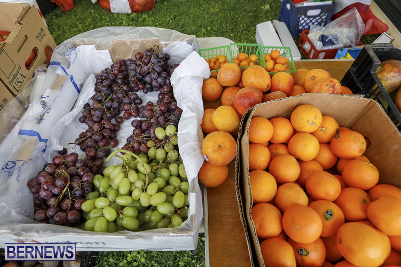 Photos: Farmer's Market Held At City Hall - Bernews
