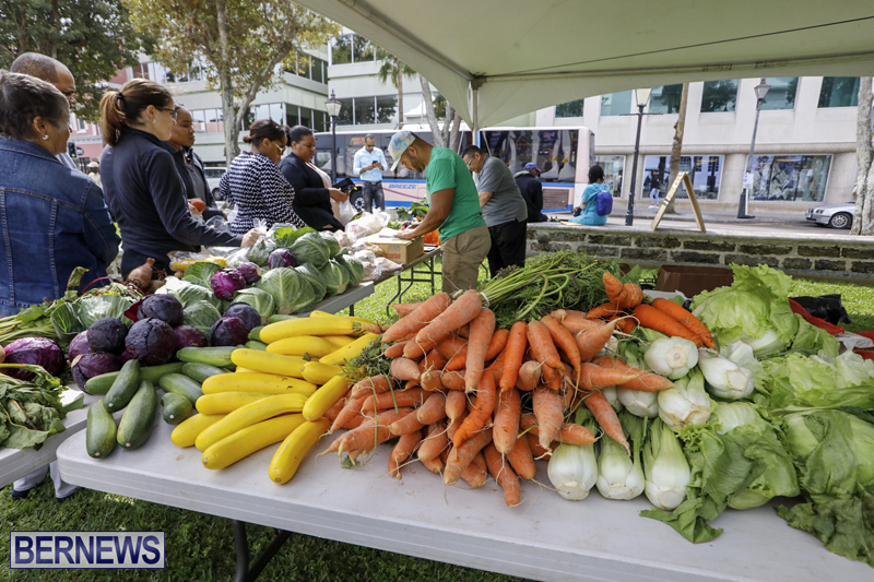 Photos: Farmer's Market Held At City Hall - Bernews