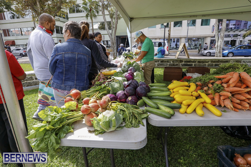 Photos: Farmer's Market Held At City Hall - Bernews