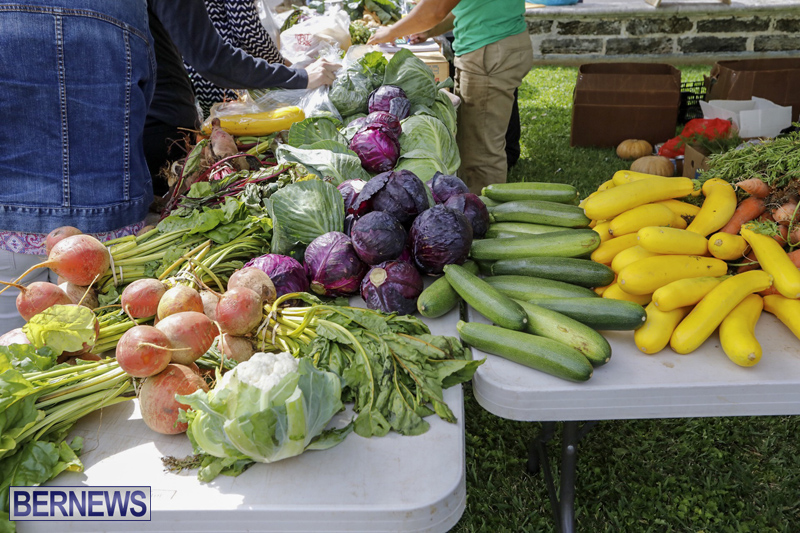 Photos: Farmer's Market Held At City Hall - Bernews