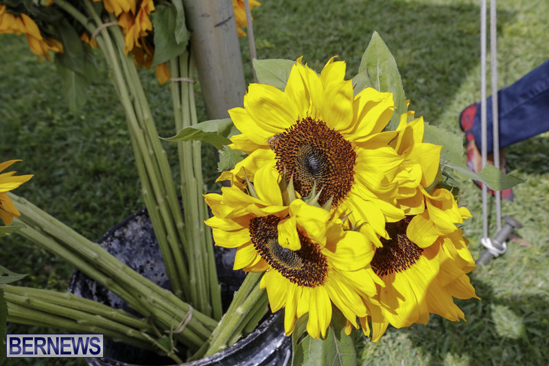 Photos: Farmer's Market Held At City Hall - Bernews