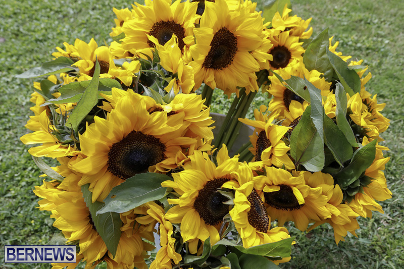 Photos: Farmer's Market Held At City Hall - Bernews