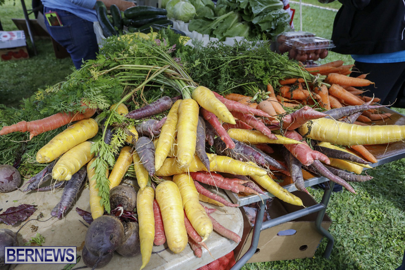Photos: Farmer's Market Held At City Hall - Bernews