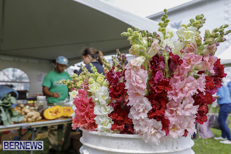 Photos: Farmer's Market Held At City Hall - Bernews