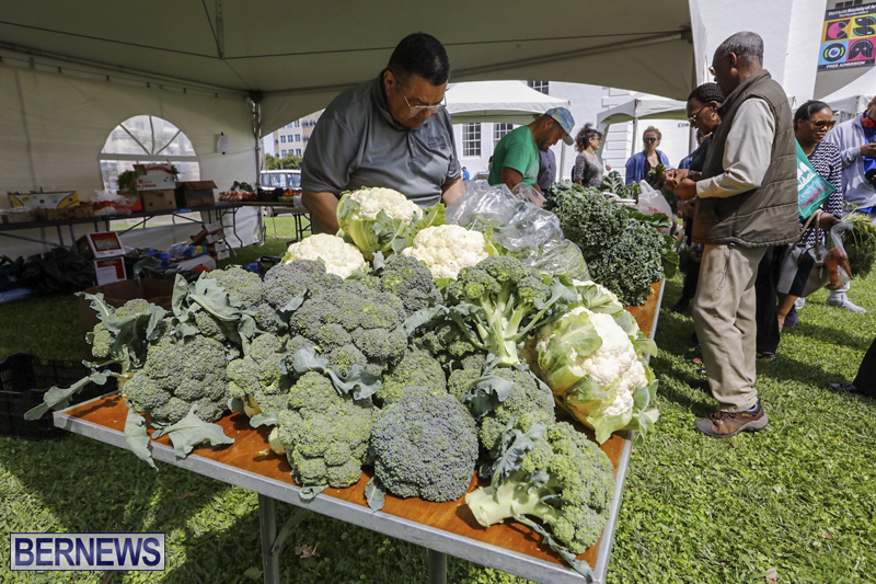 Photos: Farmer's Market Held At City Hall - Bernews