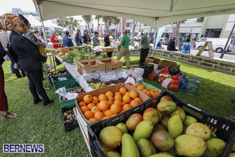 Photos: Farmer's Market Held At City Hall - Bernews