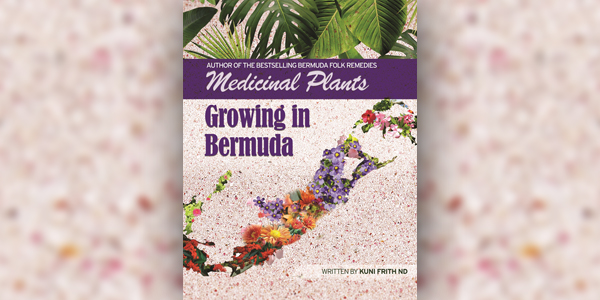 Medicinal Plants Growing In Bermuda Launch - Bernews