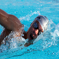 BASA Long Course Championships Results - Bernews