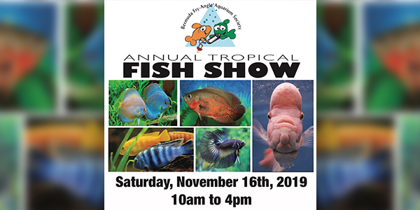 Annual Tropical Fish Show Set For Tomorrow - Bernews