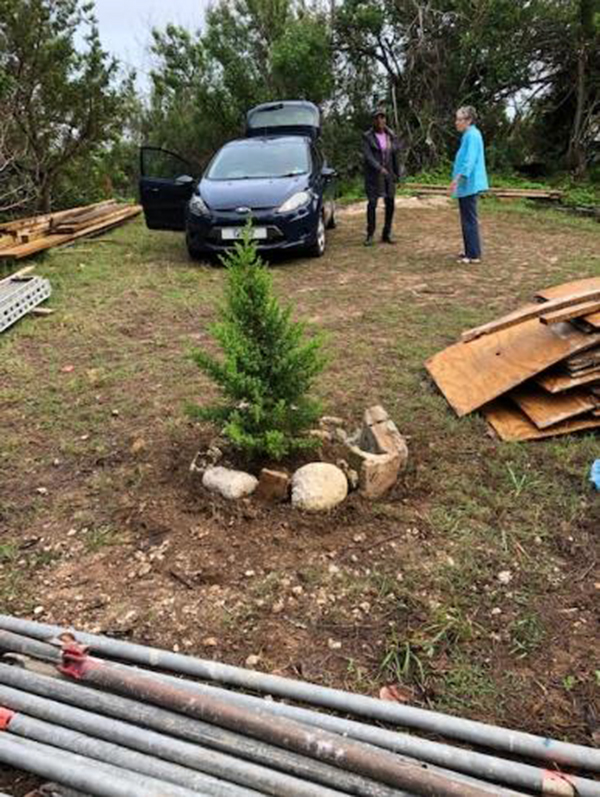 Bahá'ís Check On Bicentenary Cedar Tree - Bernews