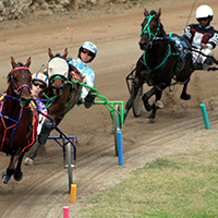 Photos: Waldron Breaks Bermuda Bred Record - Bernews