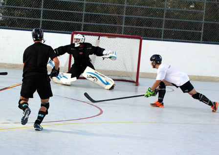 Bermuda Ball Hockey Stats & Standings - Bernews