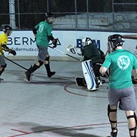 Bermuda Ball Hockey Stats & Standings - Bernews
