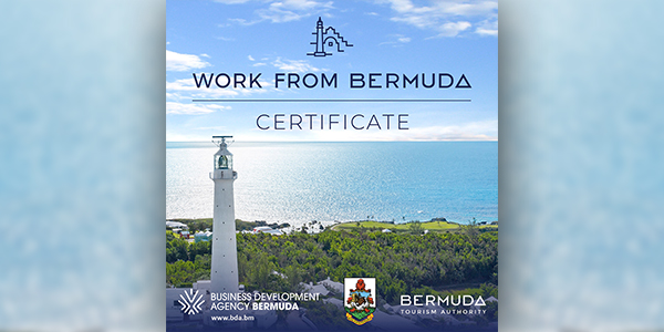 Govt Launches 'Work From Bermuda' Website - Bernews