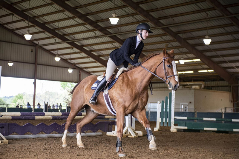 Madeiros Named Reserve High Point Rider - Bernews