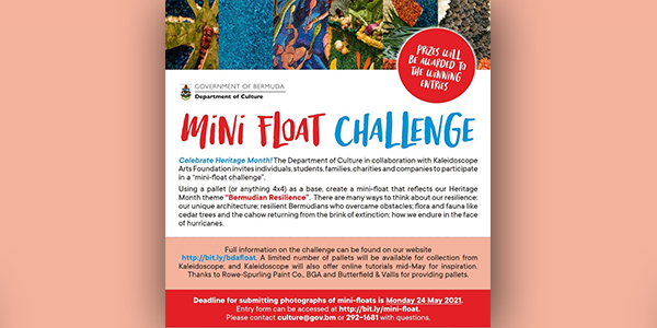 Government Hosting Mini-Float Competition - Bernews