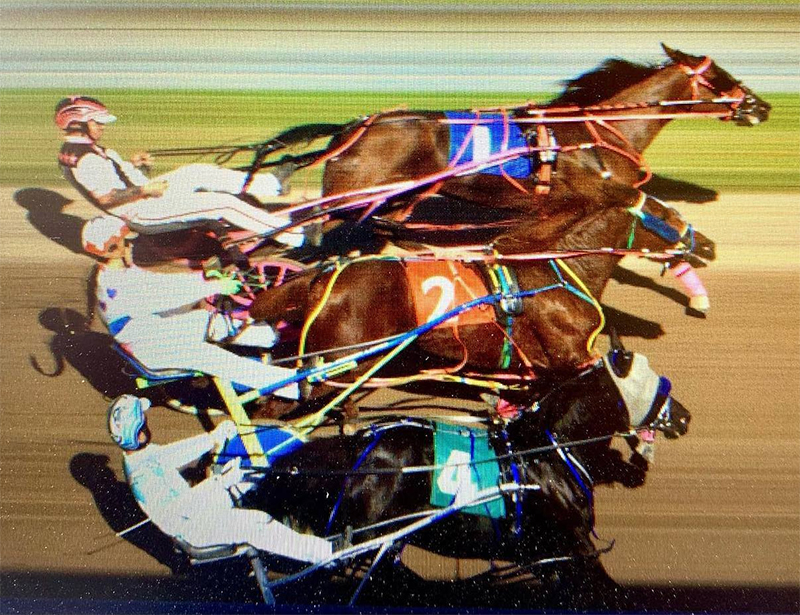 Harness Pony Racing Season Continues - Bernews