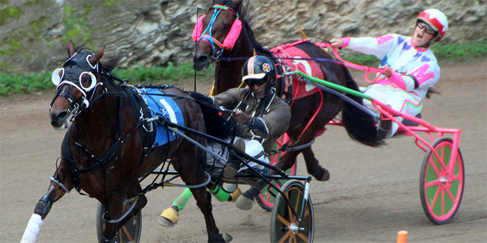 Harness Pony Boxing Day Race Results - Bernews