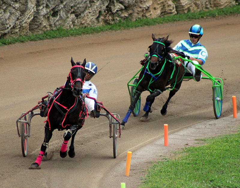 Harness Pony Racing Final Race Day Results - Bernews