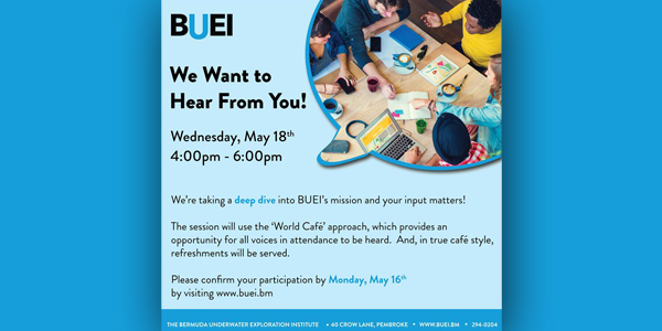 BUEI To 'Take A Deep Dive' Into Their Mission - Bernews